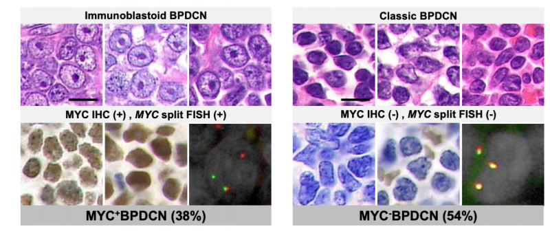 Research | JSG-BPDCN: Homepage